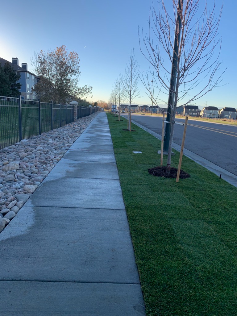 Landscaping and Irrigation Enhancements at Gateway - Landtech Contractors
